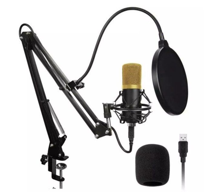 Someone’s in a Makro Condenser Microphone Computer 192KHZ / 24Bit High ...