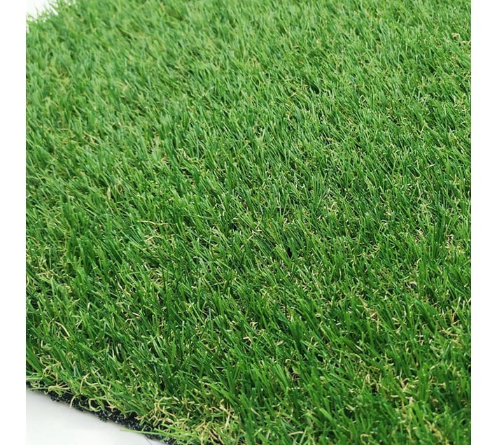 Buy Online Oasis (Carpet) Plastic Rectangle Shape (2500 cm x 200 cm ...