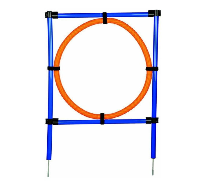 Someone’s in a Makro Dog Hoop Jump Training Set - Rex Mood