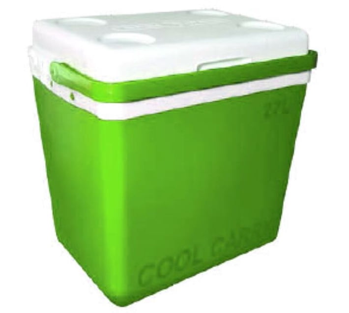 Cool Carry 27L Plastic Beverage Storage, Vegetable/Fruit Storage Cooler ...
