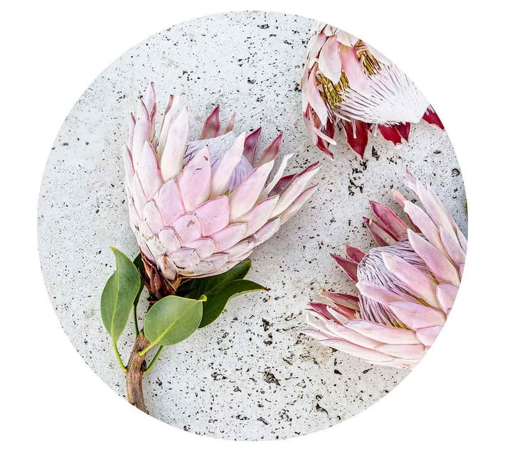 Someone’s in a Makro King Protea on Granite Round Mouse Pad Mood