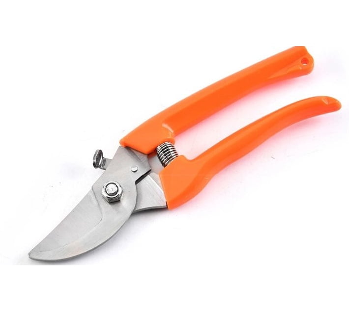 Shind SD94690 28 cm Handle Home & Professional Garden Pick (Blade ...