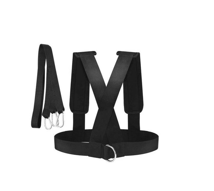 Someone’s in a Makro Fitness Sled Harness Mood