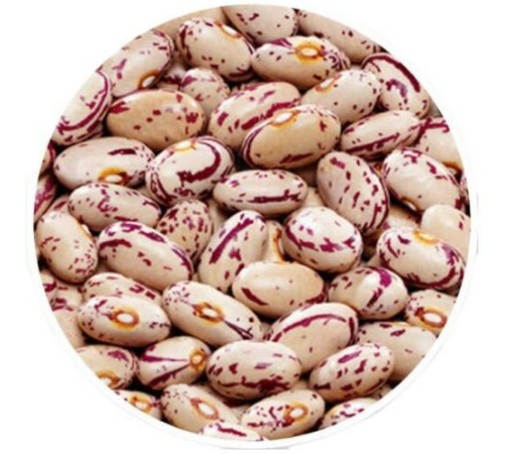 Buy SPICENMORE Organic Sugar Beans (Whole) (5 kg) in Bulk | Makro Business