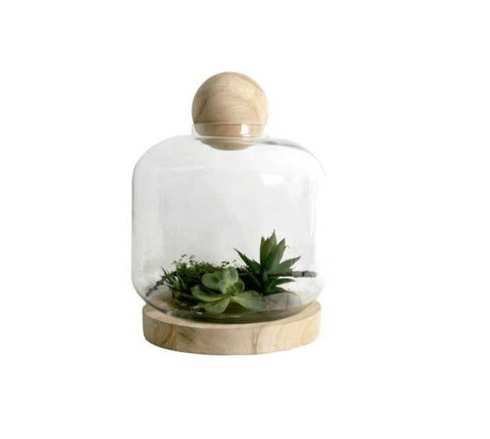 Someone’s in a Makro Transparent Greenhouse Glass Dome Mood