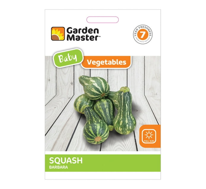 Someone’s in a Makro Garden Master Baby Vegetables Squash---Barbara Mood