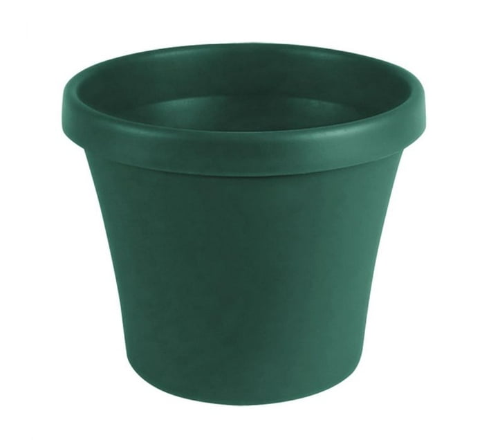 Someone’s in a Makro Sebor Super Pot 15cm Green (Pack of 10) Mood