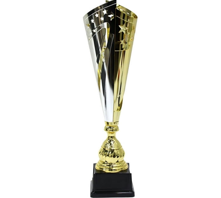 Terrific Trophies Iconic Gold & Silver Star-Medium Trophy (42cm) | Makro