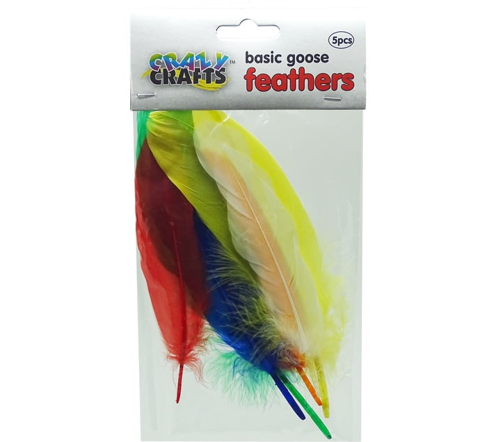 Crazy Crafts Basic Goose Feathers Craft Kits Art and Craft Kit | Makro