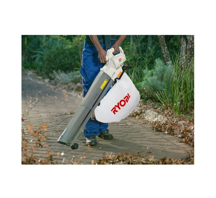 Cordless leaf blower makro store