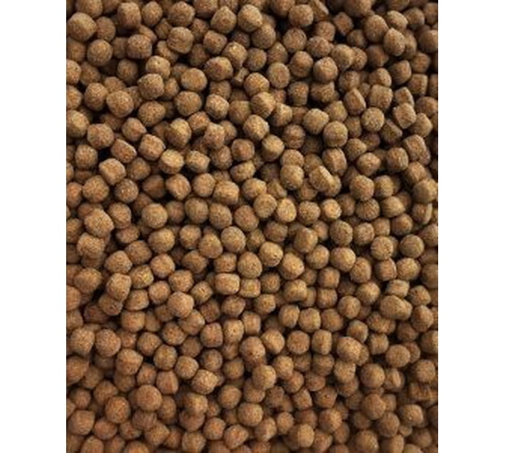 Avi - Products Aqua-Plus Bottom Feeding Pellets 10 kg Dry Adult Fish ...