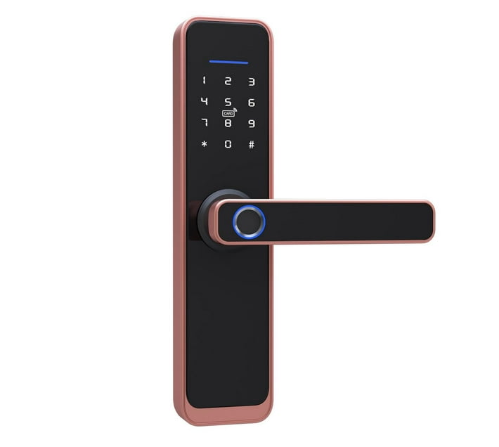 Someone’s in a Makro Intelligent Smart Lock X9 Rosegold Mood