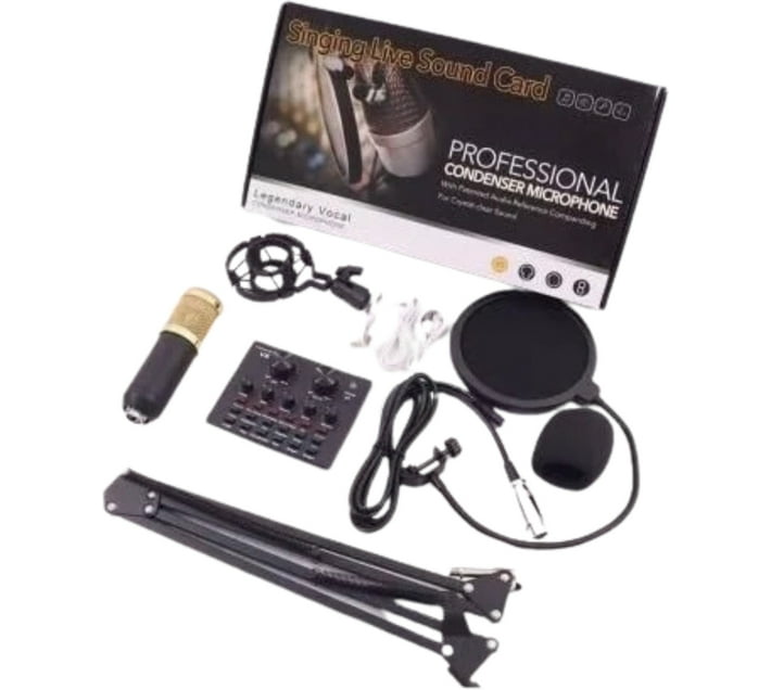 Singing Live Sound card And microphone USB-C Internal Sound Card (2.0 ...