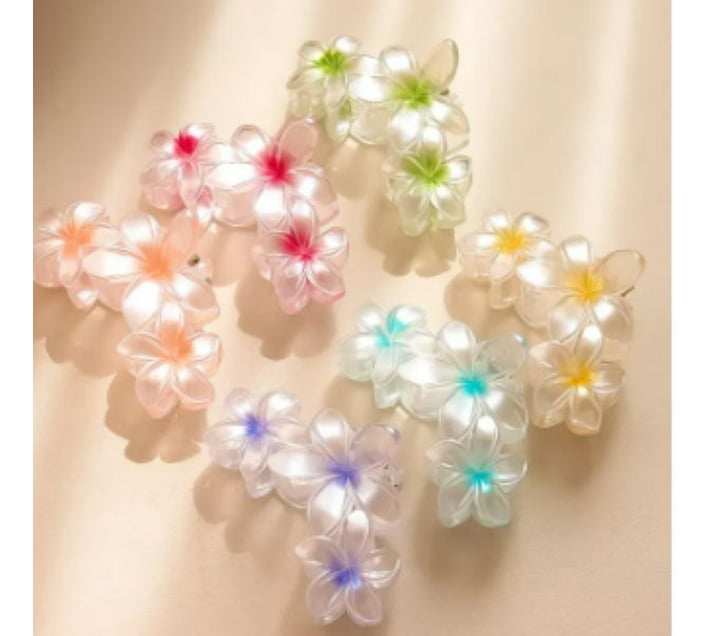 CLICK2BUY 1528 Hair Clip (Multicolour) | Makro