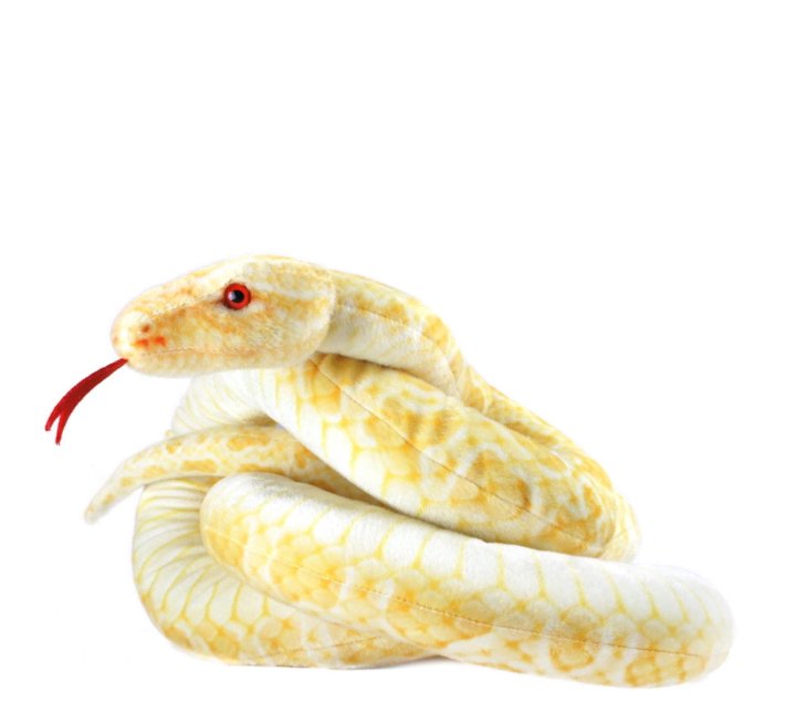 Alba the Albino Burmese Python | Makro