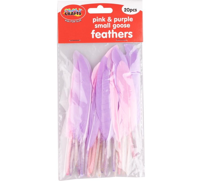 Someone’s in a Makro Goose Feathers - Pink and Purple Small Goose ...