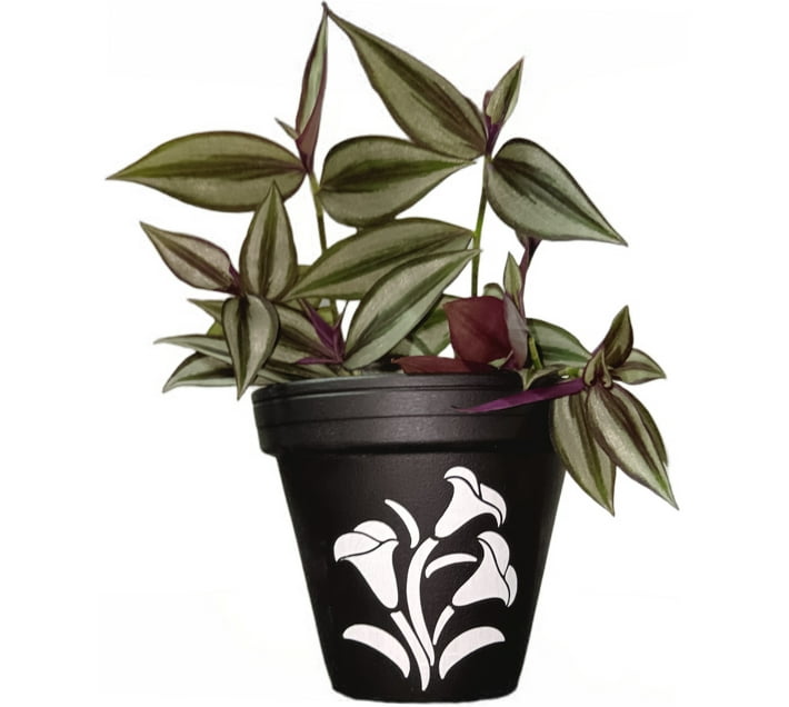 Pixels and Petals Pot Outdoor Plant Container Set (Pack of 1 ...