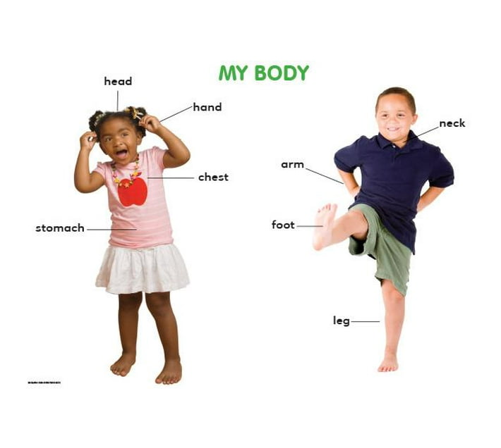 Someone’s in a Makro Chart: My body - starter version (Wallchart) Mood