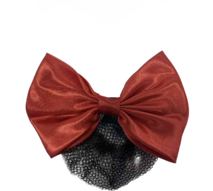 Generic HBN-CTC648R Red Hair Bow With Bun Net - 12pcs Bun Clip (Red ...