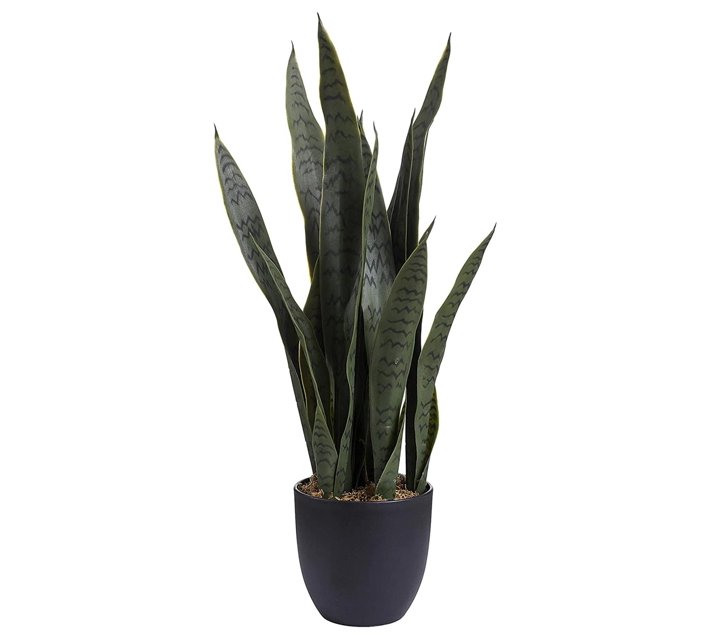 Someone’s in a Makro HouzeComfort Artificial Snake Plant Pot Plastic ...