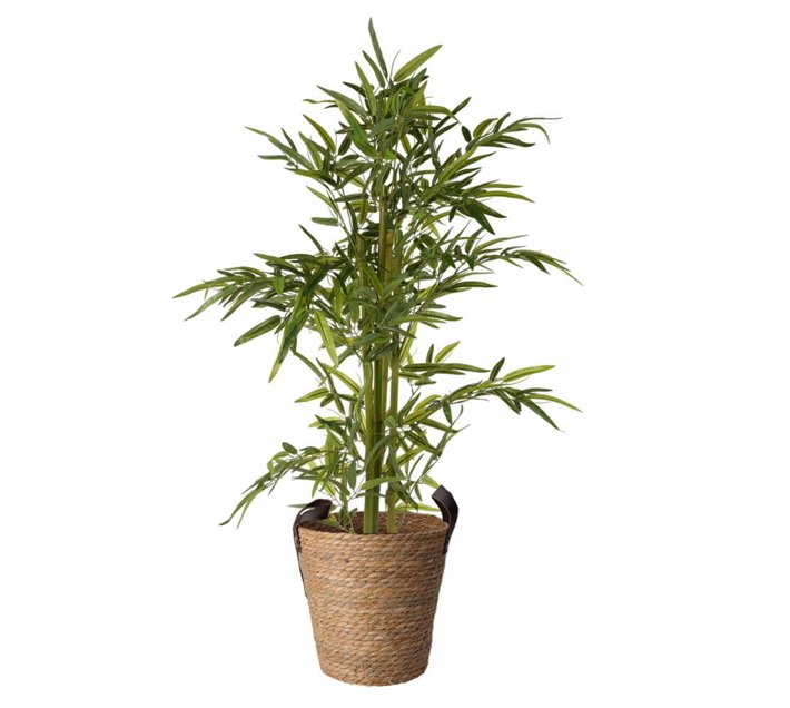 Someone’s in a Makro Artificial Bamboo Tree in Sea Grass Pot Mood