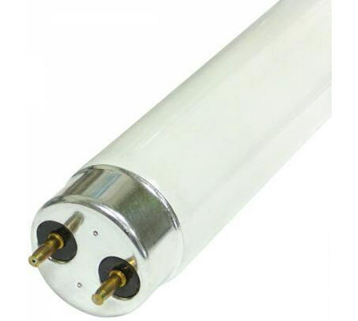 Alphacell 58 W Standard Flouroscent Bulb (Clear) | Makro