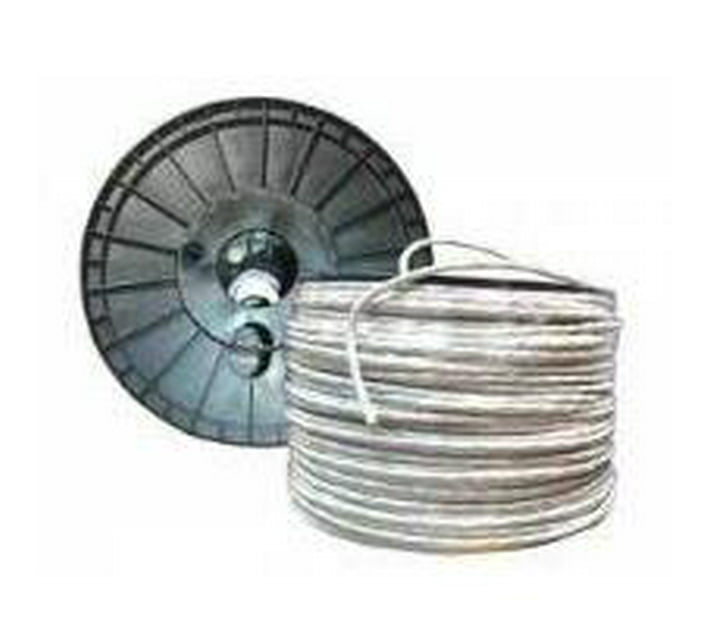 Someone’s in a Makro 305 Meter Cable Roll – CAT6 Unshielded Twisted ...