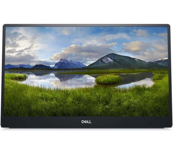 Dell 14 inch Full HD IPS Panel Home and Office Monitor (IPS Monitor ...