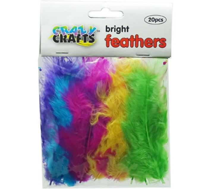 Crazy Crafts Bright Feathers Craft Kits Art and Craft Kit (Multicolor ...
