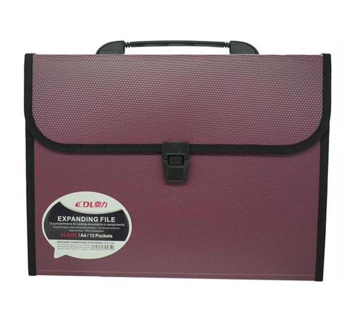 Someone’s in a Makro DLOffice 13 Compartment Expanding File Organiser Mood