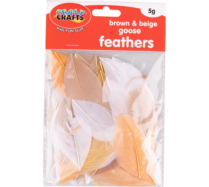 Crazy Crafts Mixed Goose Feathers Brown & Beige Craft Kits Art and ...