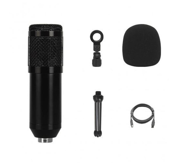 Someone’s in a Makro XF0125 BM-800 Adjustable Studio Mic USB Condenser ...