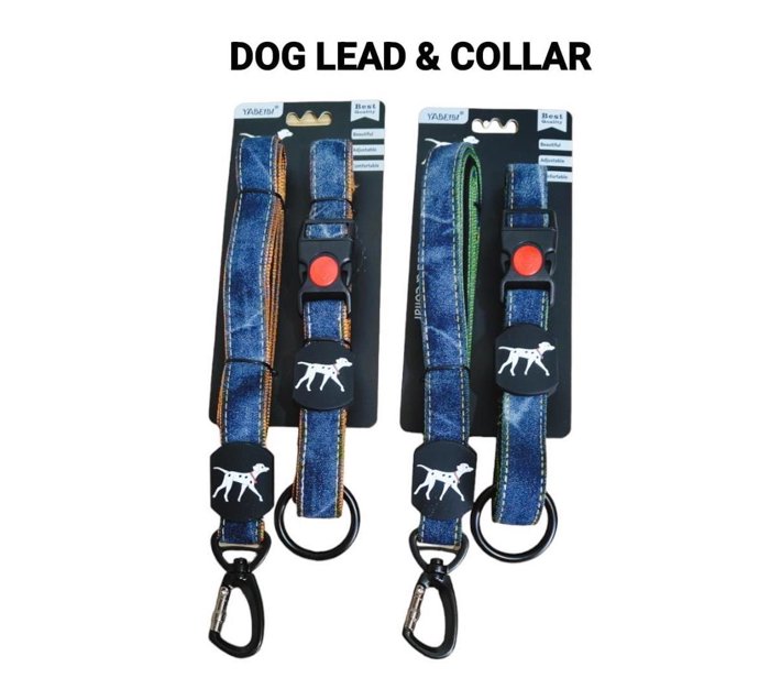 Someone’s in a Makro Dog Lead and Collar Mood